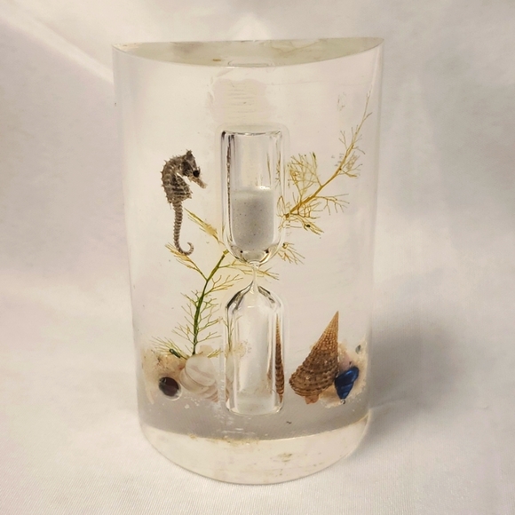 Kitchen | Lucite Timer Seahorse Shells Ocean Nautical 3 Minute ...